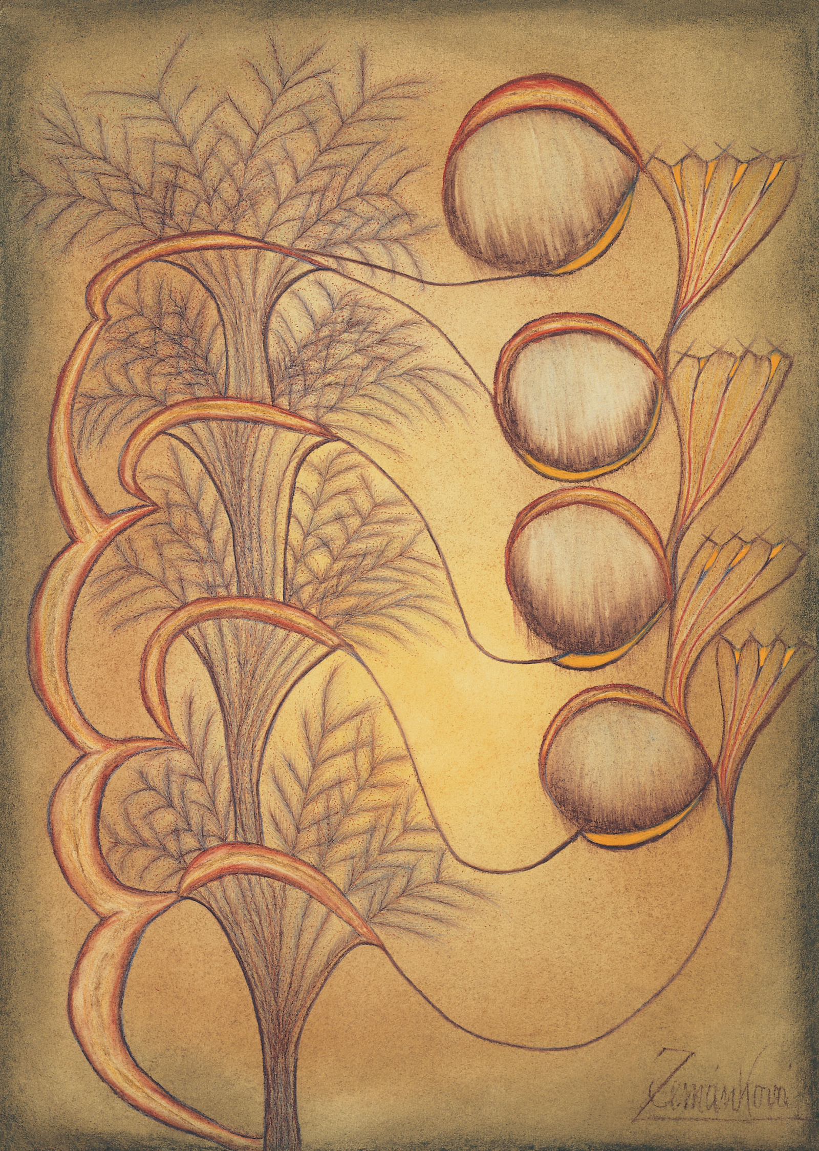 Sammlung Zander — Anna Zemánková